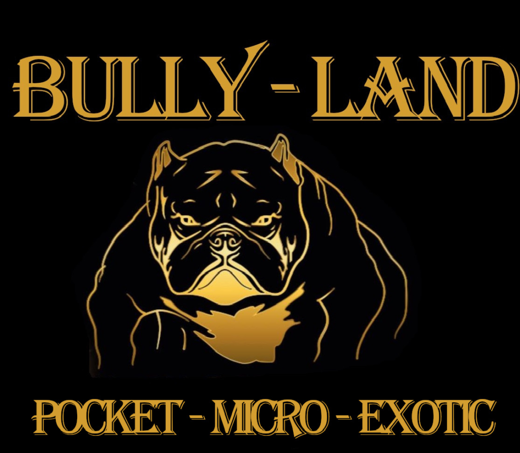 Home - bully-land.com